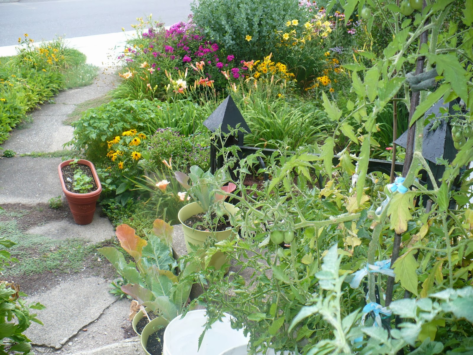 Quelles sont les plantes pour sa terrasse à privilégier